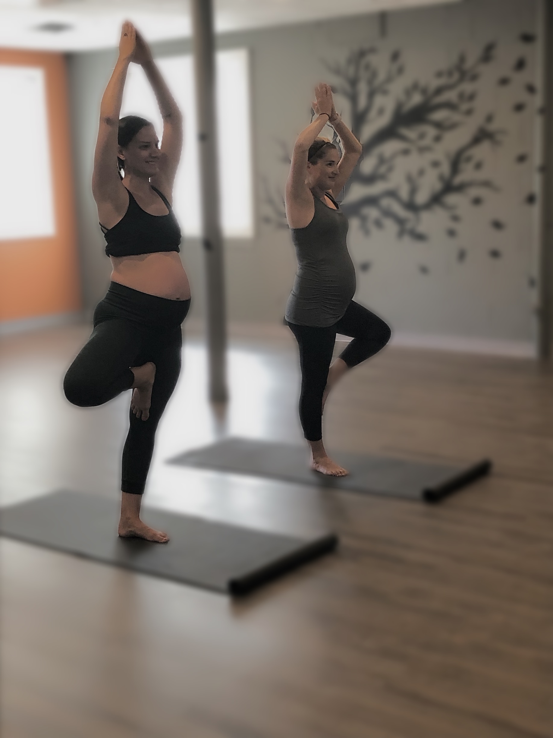 Gallery - Phoenix Fitness & Yoga